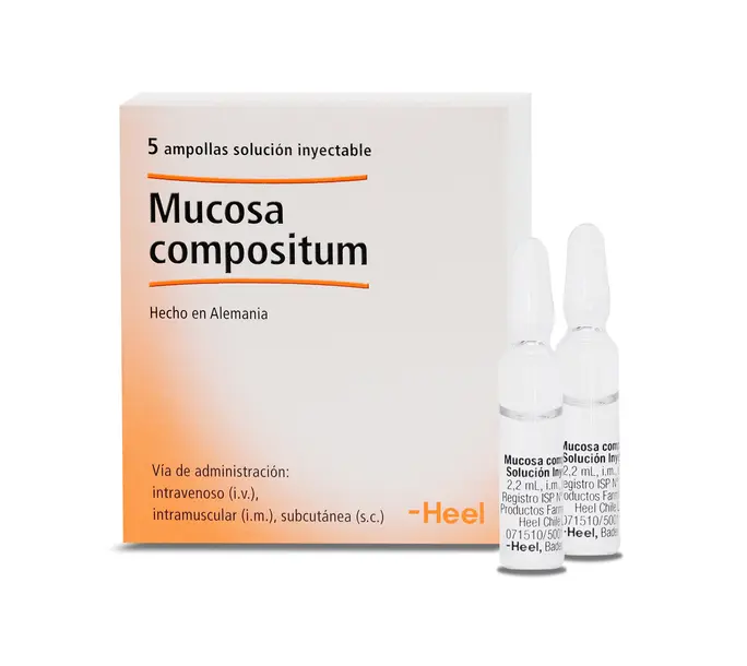 Mucosa compositum | Heel